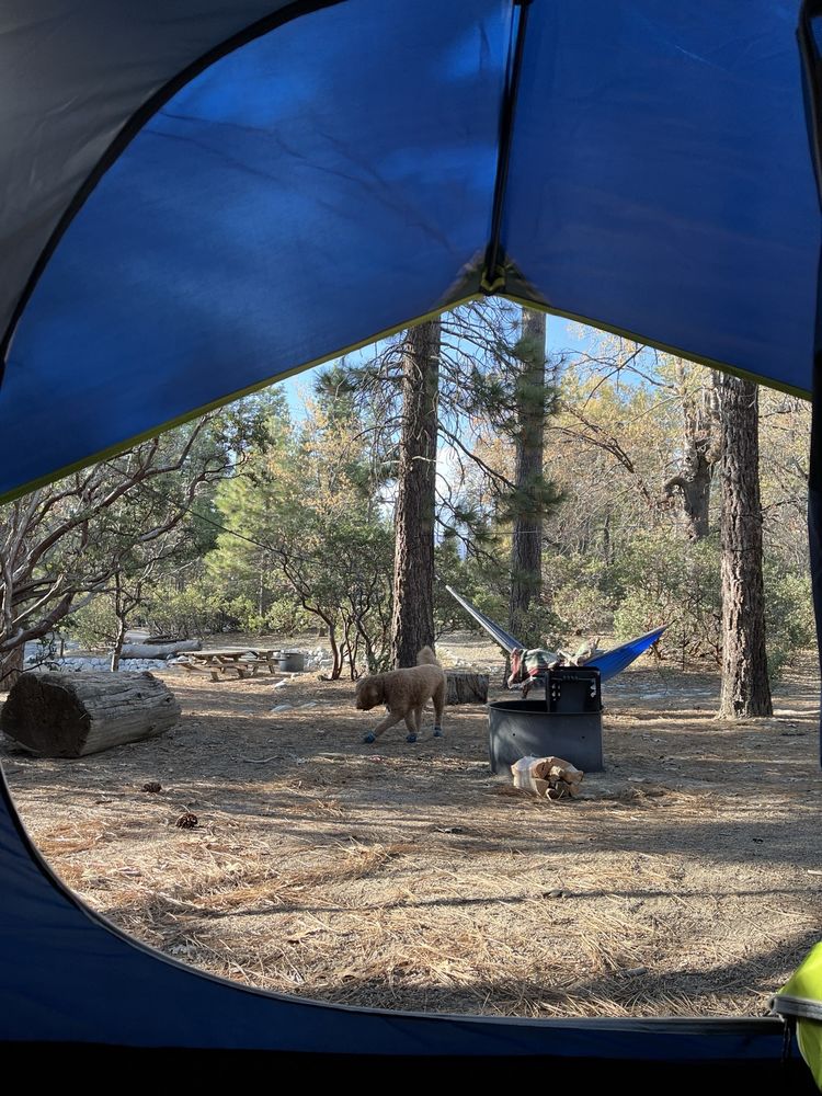 Stone Creek Campground Updated September 2025 103 Photos And 29