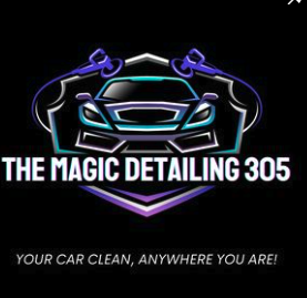 THE MAGIC DETAILING 305 - Updated November 2024 - Request a Quote - 23 ...