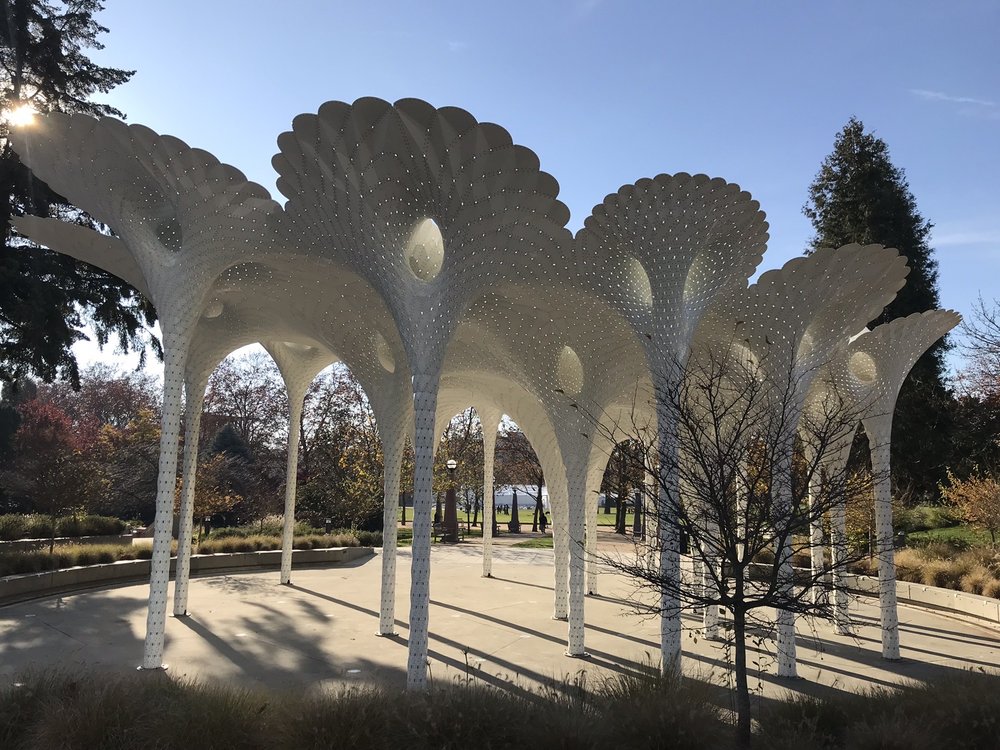 PILOTI - Updated October 2025 - 10201 NE 4th St, Bellevue, Washington ...