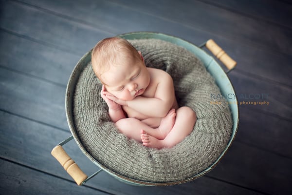 NANCY ALCOTT BABY + CHILD PHOTOGRAPHY - Updated June 2024 - 33 Photos ...
