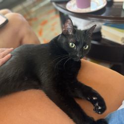 Best Midas Locations Near Me - August 2025: Find Nearby Midas Locations ...