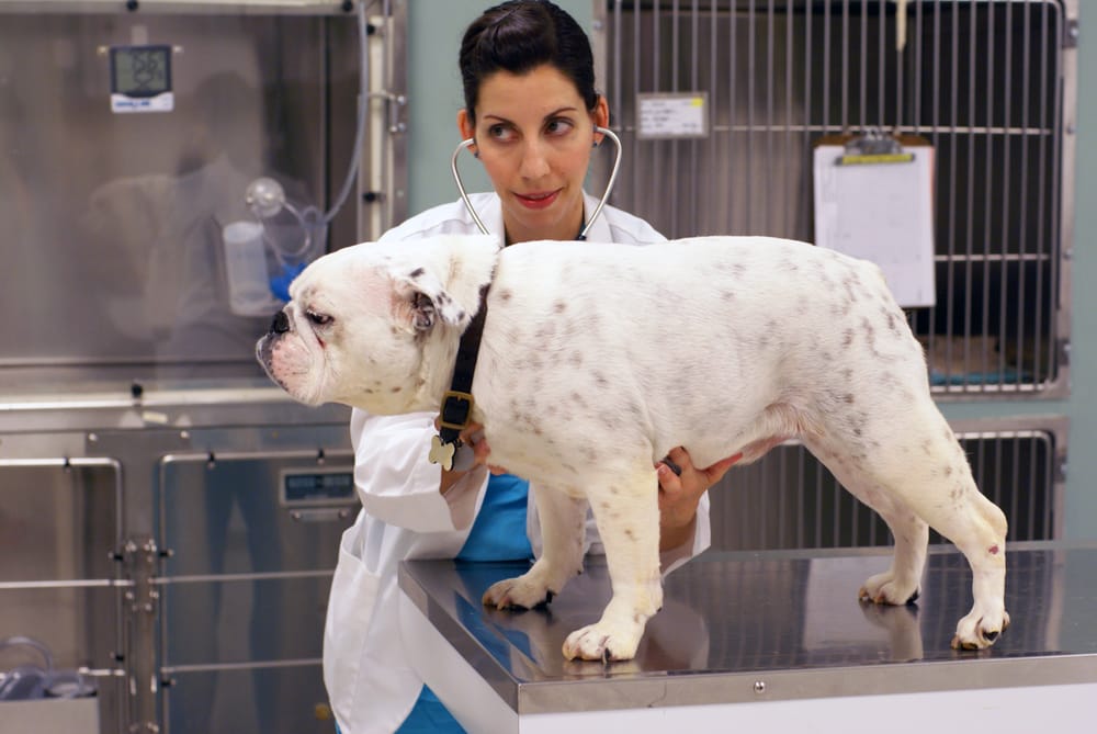 COLUMBUS CENTRAL VETERINARY HOSPITAL - Updated October 2025 - 13 Photos ...