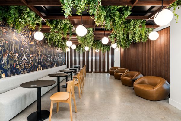 CAFE 295 - Updated January 2026 - 21 Photos - 295 The West Mall ...