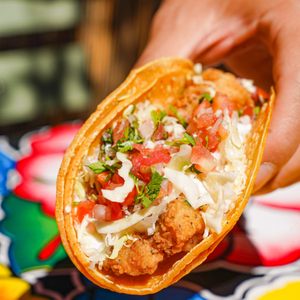 CACTUS TAQUERIA - Updated November 2024 - 313 Photos & 1115 Reviews ...