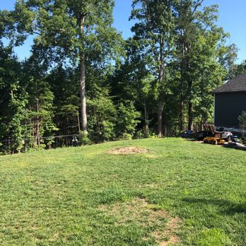 TREE WORX - Updated November 2025 - 21 Photos - 2609 Belle Arbor Ave ...