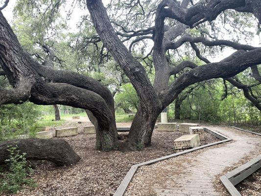 IGO LIBRARY - Updated December 2025 - 53 Photos & 26 Reviews - 13330 ...