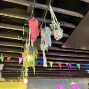 CHIANG RAI - 311 Photos & 131 Reviews - 3832 E Anaheim St, Long Beach ...