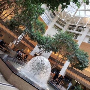 YALE HEALTH CENTER - Updated February 2025 - 23 Photos & 23 Reviews ...