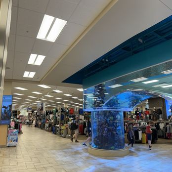 SCHEELS - Updated May 2024 - 593 Photos & 183 Reviews - 4450 ...