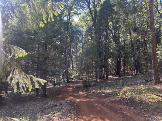 HARMONY RIDGE RESORT - Updated December 2025 - 93 Photos & 56 Reviews ...