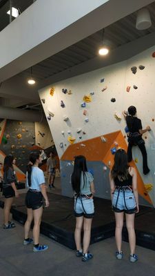 ROX CLIMBING GYM - Updated October 2025 - 20 Photos - 6775 Chopra Ter ...
