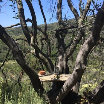 DEER PARK MONASTERY - Updated June 2024 - 418 Photos & 47 Reviews ...