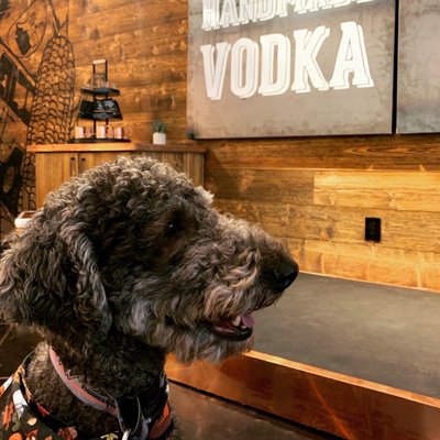 LOVE, TITO’S - Updated 2024 - 31 Photos & 22 Reviews - 215 Lavaca St ...