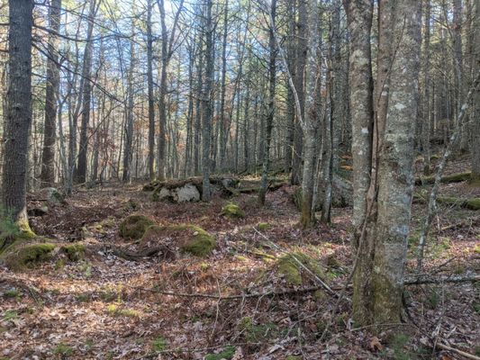 MOUNT TOM TRAIL - Updated June 2025 - 43 Photos - 2085 Ten Rod Rd ...