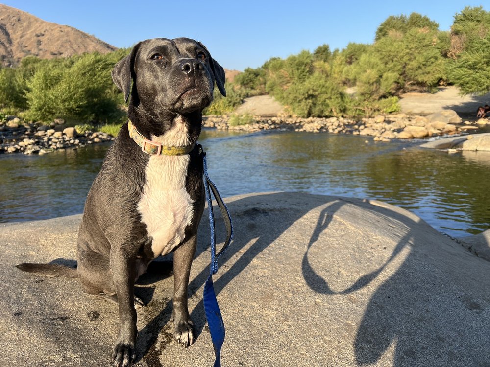 SLICK ROCK RECREATION AREA - Updated December 2025 - 75 Photos & 22 ...