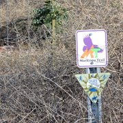 TRES RIOS WETLANDS - 26 Photos - Phoenix, Arizona - Parks - Yelp