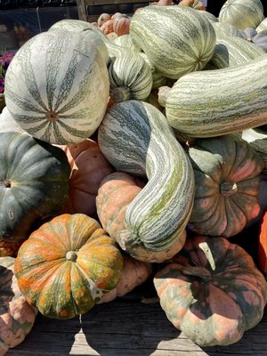 BI WATER FARM & GREENHOUSE - Updated October 2025 - 47 Photos & 26 ...