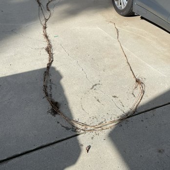 WESTERN ROOTER - 905 Photos & 1218 Reviews - 136 E Santa Clara St ...