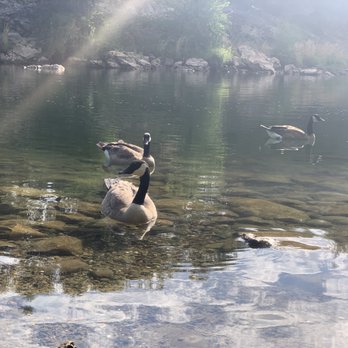 CAMP LOTUS - Updated June 2024 - 46 Photos & 68 Reviews - 5461 Bassi Rd ...