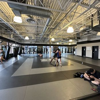 SYNDICATE MIXED MARTIAL ARTS - Updated January 2026 - 38 Photos & 116 ...