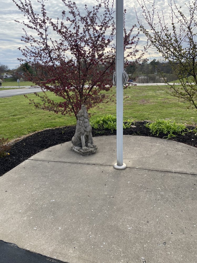 TIMMY THE TIMBERWOLF - Updated July 2024 - Zoneton Rd, Shepherdsville ...