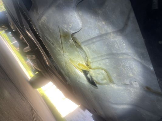 MAC HAIK FORD - Updated November 2025 - 24 Photos & 105 Reviews - 4242 ...