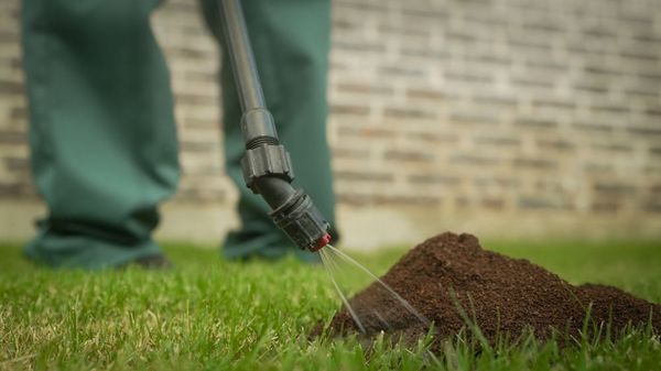 GECKO GREEN - Updated December 2025 - 29 Photos & 14 Reviews - 2760 ...