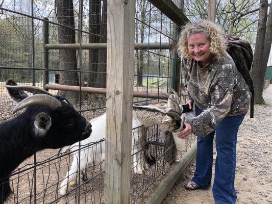 GATORS & FRIENDS - 190 Photos & 48 Reviews - 11441 Hwy 80, Greenwood ...