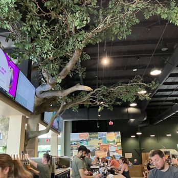 MADTREE PARKS & REC - Updated October 2025 - 138 Photos & 69 Reviews ...