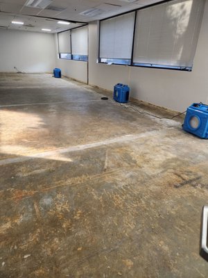 ADVANCED RESTORATION - Updated January 2026 - 43 Photos & 43 Reviews ...