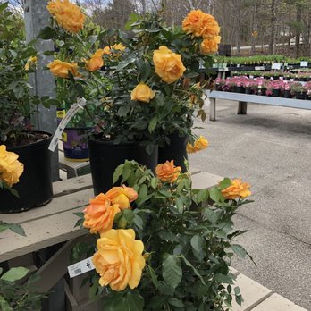 SPRAGUE’S NURSERY & GARDEN CENTER - Updated December 2025 - 21 Photos ...