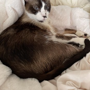 LARIMER HUMANE SOCIETY - Updated November 2025 - 28 Photos & 68 Reviews ...