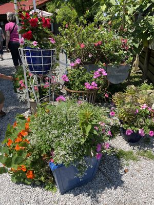 STREAM CLIFF FARM - Updated November 2025 - 136 Photos & 46 Reviews ...