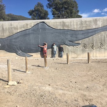 BERLIN ICHTHYOSAUR STATE PARK - Updated December 2025 - 116 Photos & 14 ...