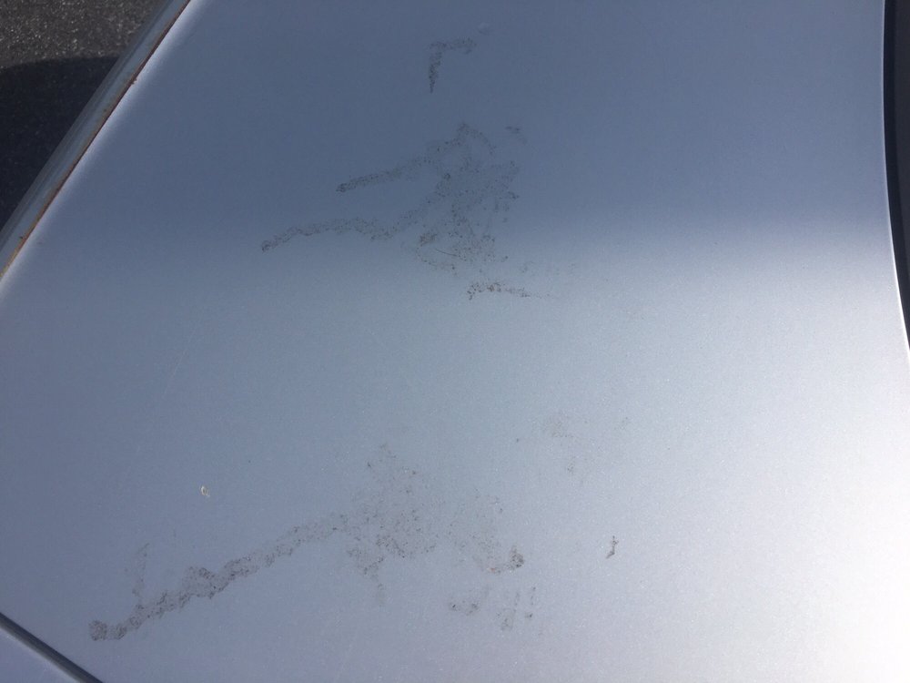 Big fish Car Wash, Baltimore | Roadtrippers