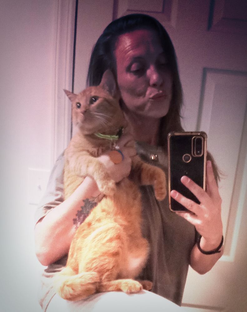 KELL’S K9 AND PET CARE - Updated May 2024 - Harmony, North Carolina ...