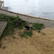 CHARLESTOWN MANOR BEACH AND CAMPGROUND - 35 Photos - 7 Edgewater Ave ...