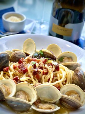 SAVI CUCINA - Updated April 2025 - 467 Photos & 284 Reviews - 1324 ...