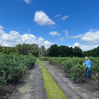 LYNA BERRY FARM - Updated December 2025 - 47 Photos - 11920 Neal Rd ...