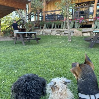 JAMES RANCH GRILL - Updated January 2025 - 264 Photos & 250 Reviews ...