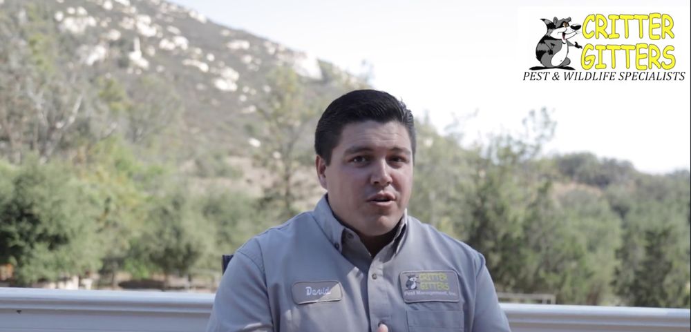 CRITTER GITTERS - Updated January 2026 - 10 Photos & 40 Reviews - San Diego, California ...