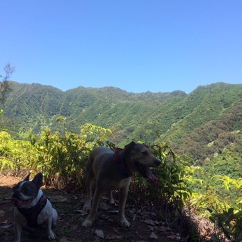 HAU’ULA LOOP TRAIL - Updated December 2024 - 141 Photos & 23 Reviews ...