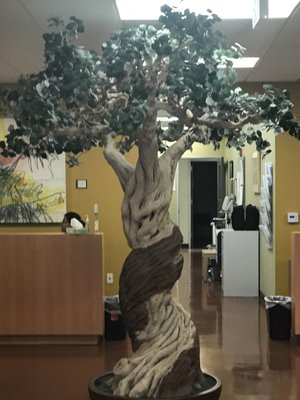 PARK TREE COMMUNITY HEALTH CENTER - Updated December 2025 - 39 Reviews ...