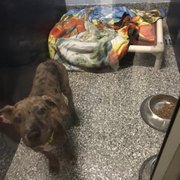 MACOMB COUNTY ANIMAL CONTROL - 16 Photos & 11 Reviews - 21417 Dunham Rd ...