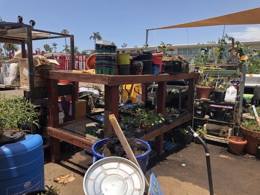 ALICE BIRNEY ELEMENTARY SCHOOL - Updated December 2025 - 26 Photos ...