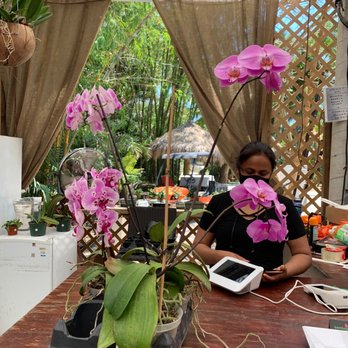 Bamboo Gardens Davie | Fasci Garden