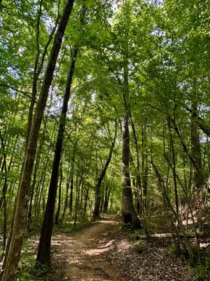 HECTOR H HENRY II GREENWAY - Updated July 2025 - 16 Photos - 1095 Drake ...