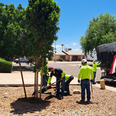 MOON VALLEY NURSERIES - Updated December 2025 - 105 Photos & 86 Reviews ...