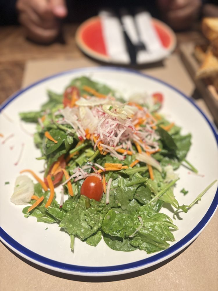 SCADDABUSH - Updated December 2025 - 200 Photos & 121 Reviews - 20 ...