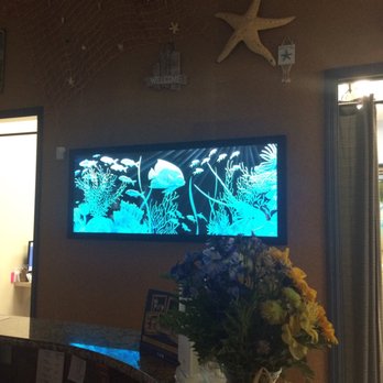 JASON WETMORE, DMD - Updated October 2025 - 817 Westport Dr, Rockledge ...